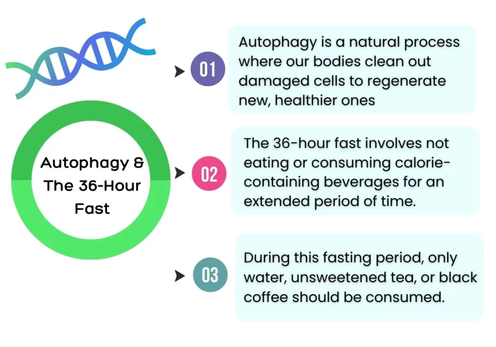 Unlock The Power Of Autophagy With A 36 Hour Fast. | Fastholic